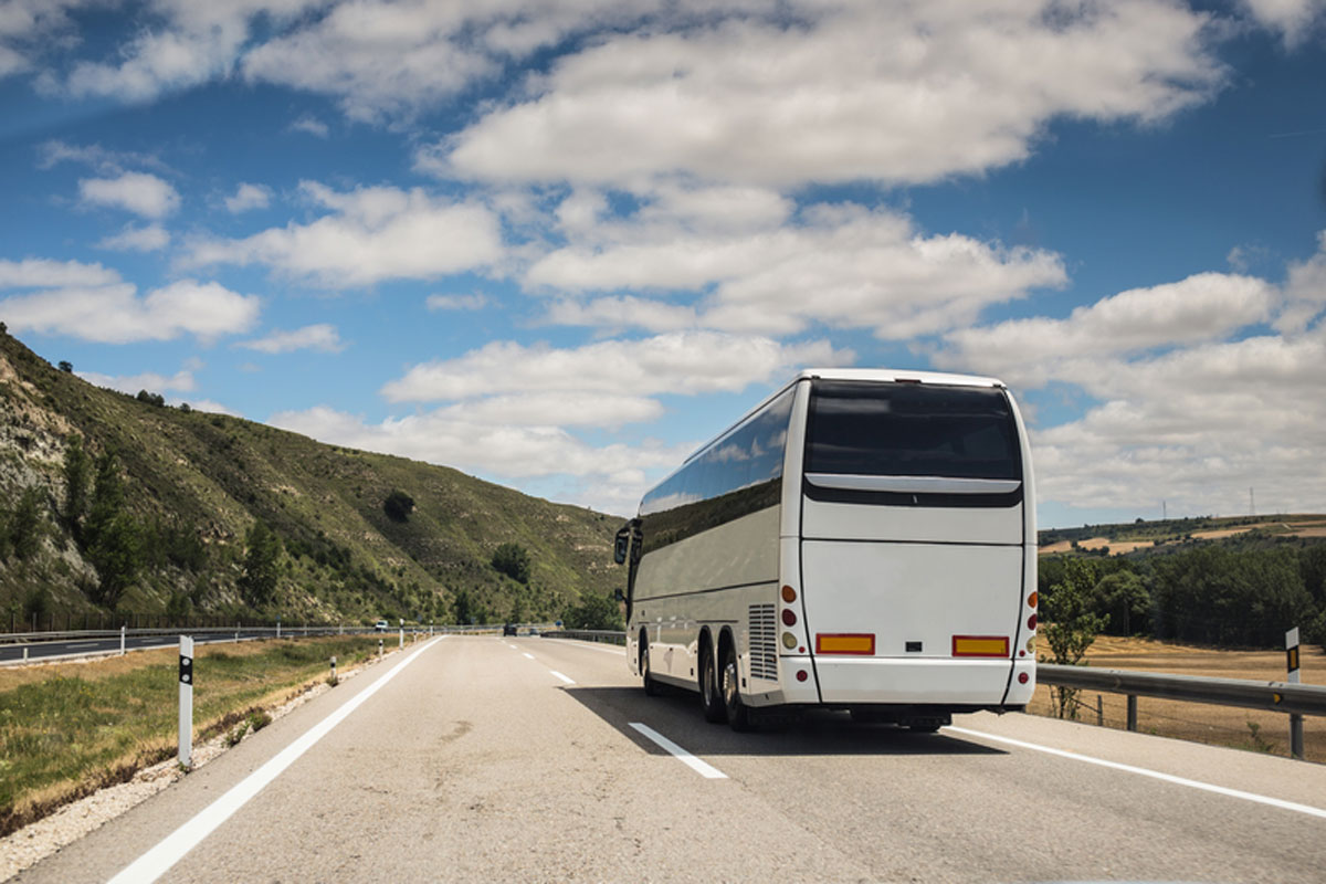 Compelling Reasons to Use a Charter Bus for Your Next Group Vacation ...